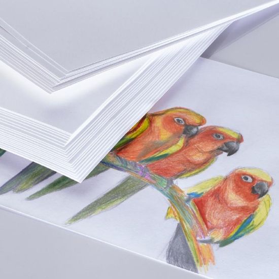 K&M Wholesale Suppliers Limited. Cartridge (Drawing) Paper